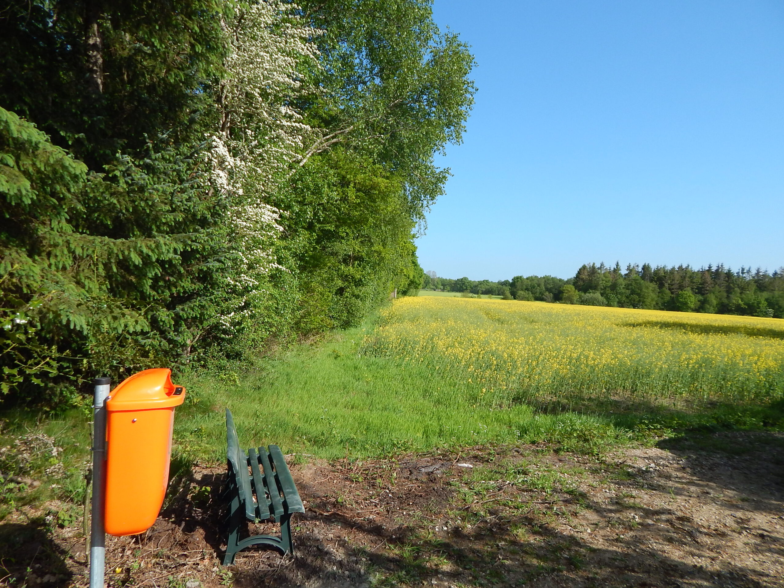 Neue Bank | Gemeinde Stolk